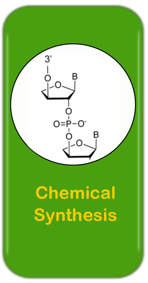 Chemistry Synthesis – Chaput Laboratory