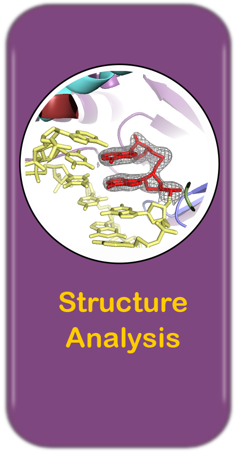 Research – Chaput Laboratory